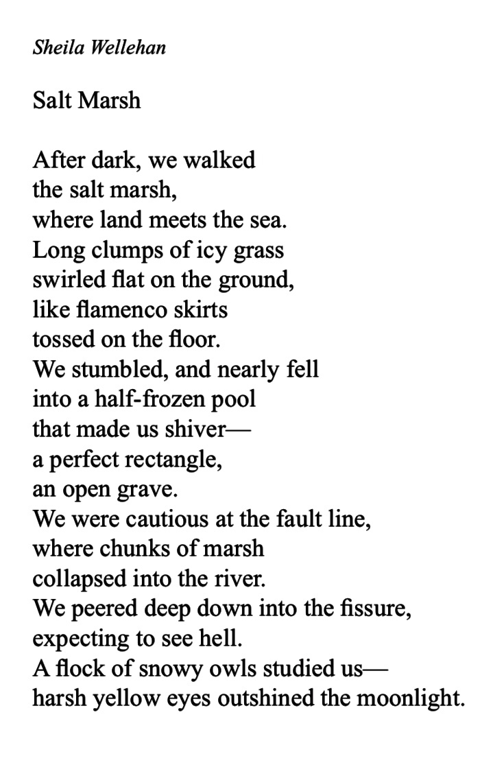 “Salt Marsh” in Book of Matches | Sheila Wellehan
